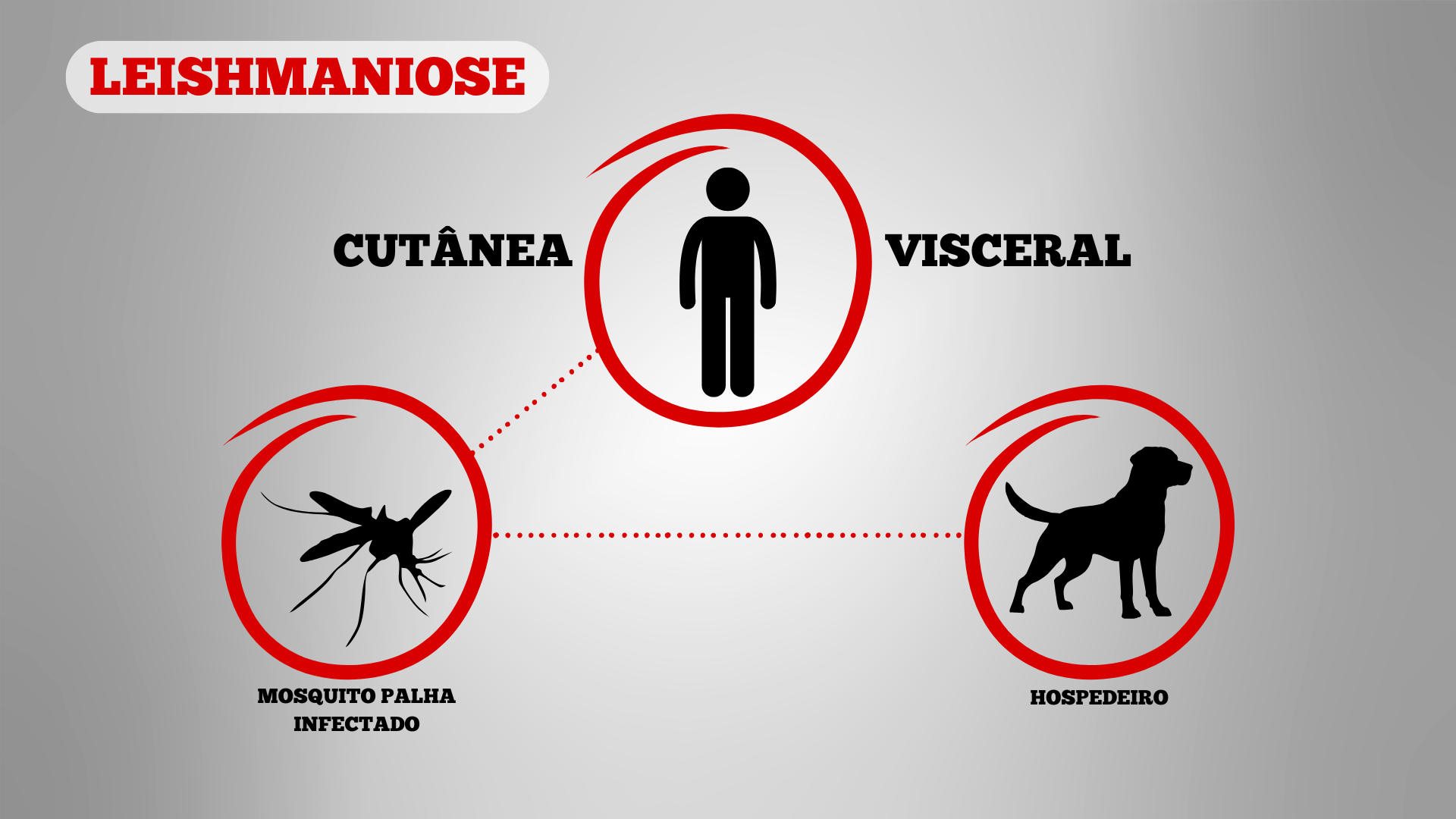 Infectologista explica como acontece a transmissão de leishmaniose ...
