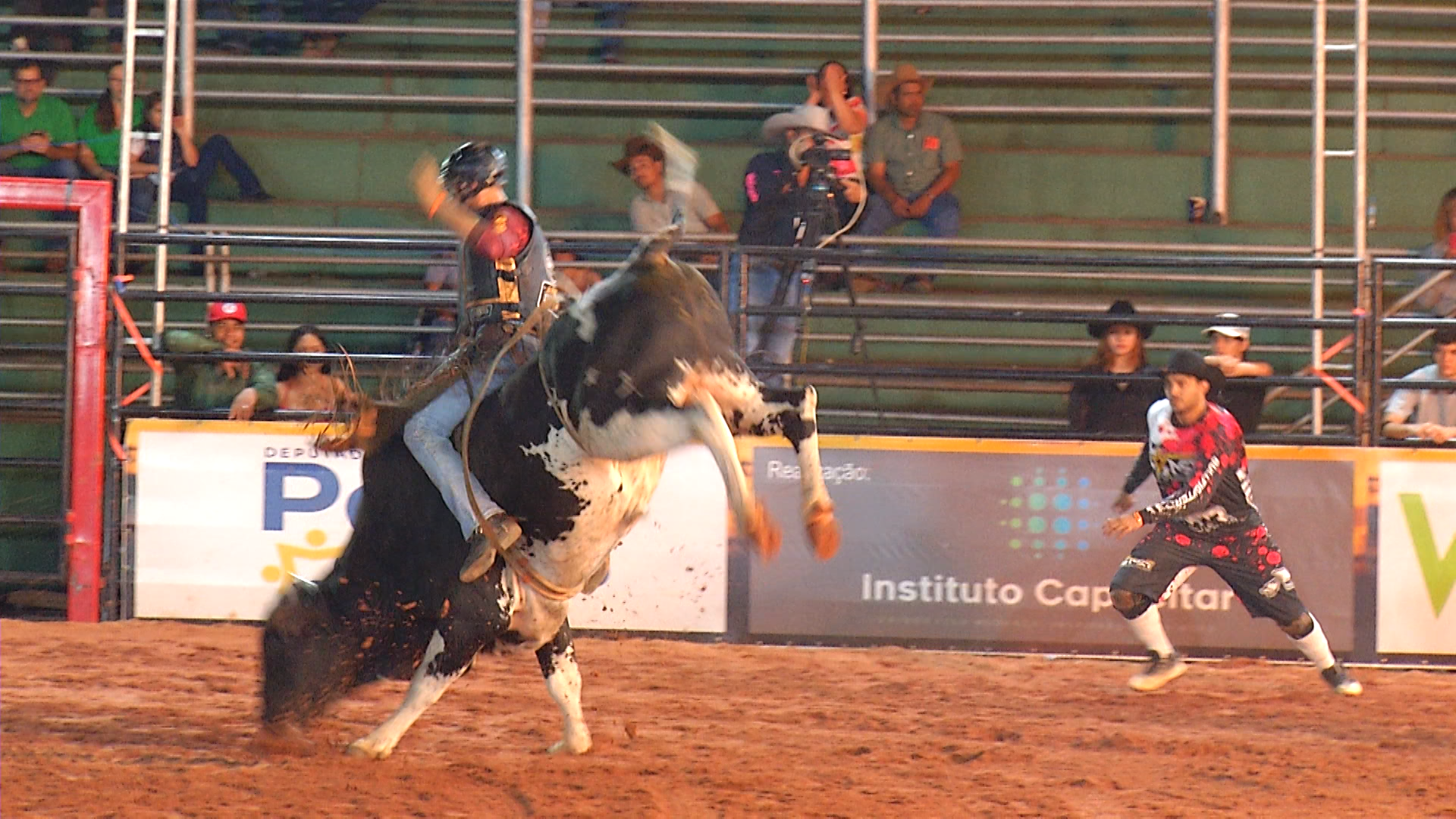 Rodeio em touros movimenta arena na primeira noite da Semana do Cavalo ...